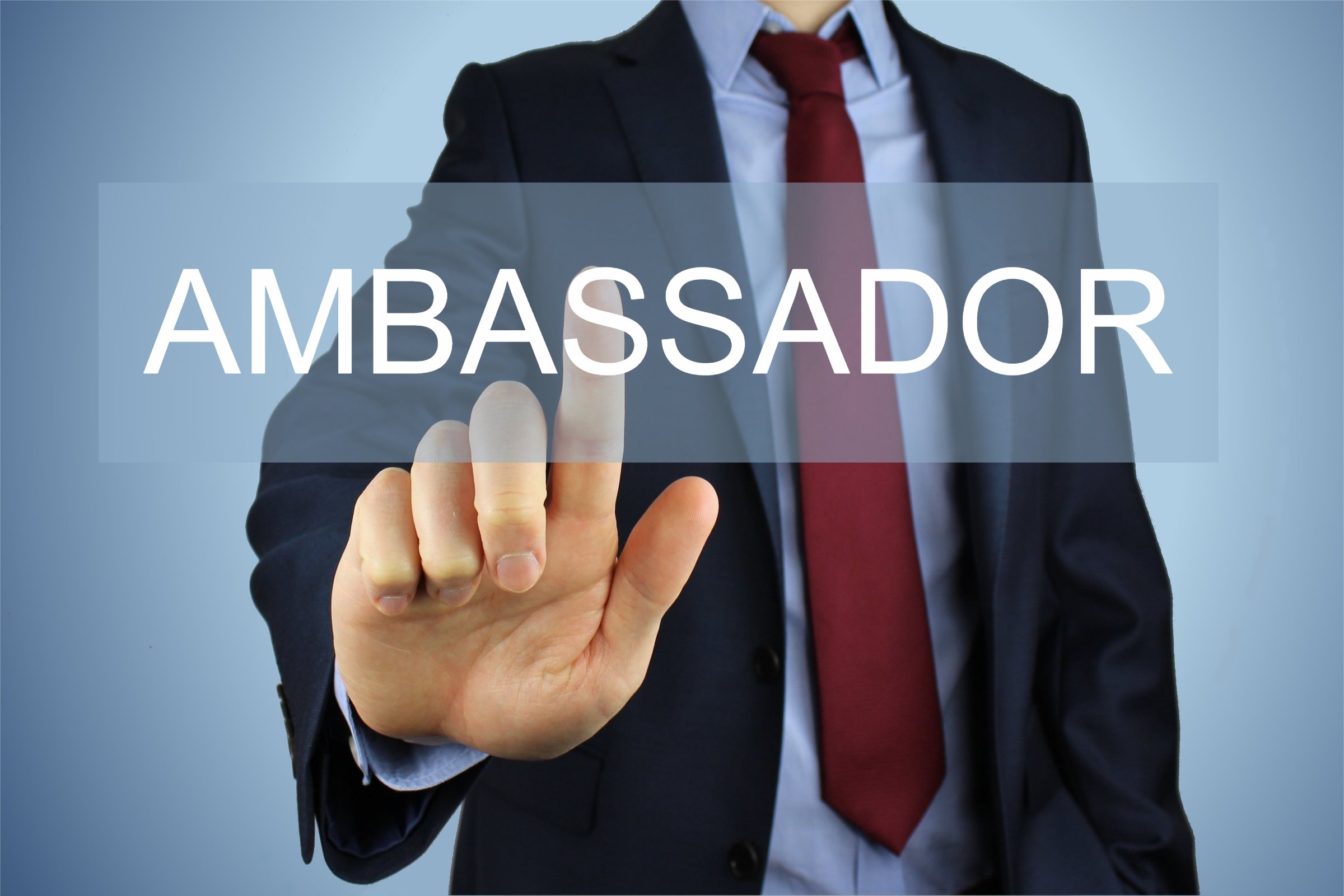 Ambassador Free Of Charge Creative Commons Office Worker Pointing