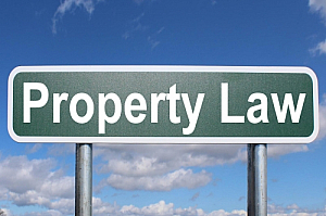 Free of Charge Creative Commons common law Image - Legal 1